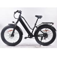 China 50NM Torque Fat Tire Electric Hunting Bike 0.5KW 6Speed Geared for sale