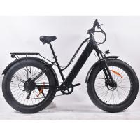 China 48V Fat Tire Electric Bike Hunting , 20 Mph E Bike For All Terrain for sale
