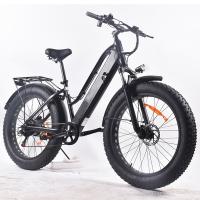 China 48V Fat Tire Electric Bike Hunting , 20 Mph E Bike For All Terrain for sale