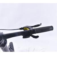 China 20 Inch Ultra Light Electric Folding Bike 0.25KW With Bafang Mid Drive Motor for sale