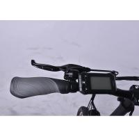 China PU Lightweight Folding Electric Bicycle , 20 Inch Electric Folding Bike 500 Watt for sale