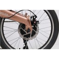 China 120KG Load Capacity Lightweight Electric Folding Bike 20x1.95 25km/H for sale