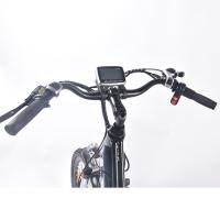 China 48C Off Road Electric Mountain Bike 500W Power 9Speed Freewheel for sale