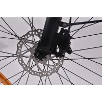 China 48C Off Road Electric Mountain Bike 500W Power 9Speed Freewheel for sale