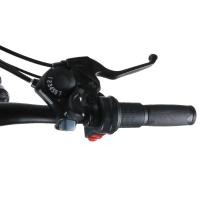 China 26 Fat Tire Electric Mountain Bike 65KM/H Max Speed With 10Ah Battery for sale