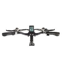 China 20mph Electric Pedal Assist Mountain Bike , ODM Throttle Electric Mountain Bike for sale