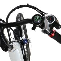 China Multiapplication Lightweight Ladies Electric Bike With 8000mAh Lithium Battery for sale