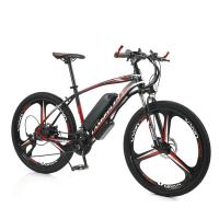 China Electric 36V Lithium Battery Bicycle 250W Lockable Suspension Fork Ebike Mount for sale