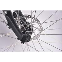 China 6 Speed Mid Drive Step Through Electric Mountain Bike 750W 150G Aluminum Frame for sale