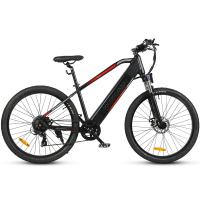China 48V 10Ah Lithium Battery Fat Tire Electric City Bicycle Mountain E Bike for sale