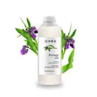 China Factory Wholesale Borage Oil Gentle Natural Massage Spa Carrier Oil For babies all person for sale
