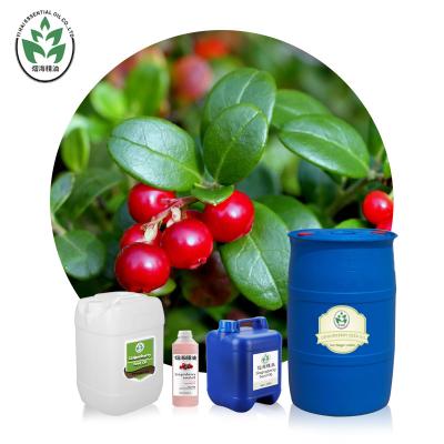 China OEM ODM Lingonberry Seed Oil Carrier Oil Massage Use Health Care for sale