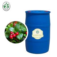 China OEM ODM Lingonberry Seed Oil Carrier Oil Massage Use Health Care for sale