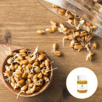 China Cold Pressed Carrier Pure Wheat Germ Oil For Synthetic Handmade Soap for sale