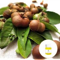 China Health Care Original Edible Organic Camellia Seed Oil Refined Pressing for sale