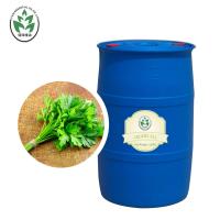 China 100 Purity Massage Essential OIls Celery Seed Essential Oil Anti Aging for sale