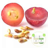 China Wholesale 100% Natural Grape Seed Oil Anti Oxidation Dilute Stains for sale