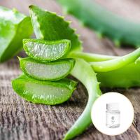 China Cold Pressed Organic Aloe Vera Essential Oil For Face Skin Body And Burns for sale