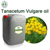 China CAS 8016-87-3 Wholesale price Tanacetum annuum oil 100% pure natural organic blue tansy essential oil for sale
