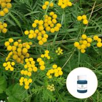 China CAS 8016-87-3 Wholesale price Tanacetum annuum oil 100% pure natural organic blue tansy essential oil for sale