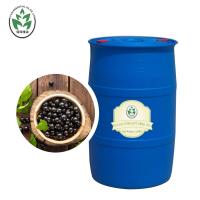 China OEM ODM Black Currant Seed Carrier Oil Cold Press For Health Care for sale
