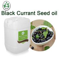 China OEM ODM Black Currant Seed Carrier Oil Cold Press For Health Care for sale