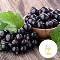 China OEM ODM Black Currant Seed Carrier Oil Cold Press For Health Care for sale