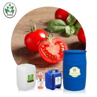 China Mucosal Tissue Benefit Pure Organic Essential Oils Pure Tomato Seed Essential Oil for sale