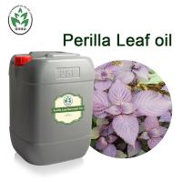 China Organic 100% Pure Natural volatile Perilla Leaf Essential Oil For Skin Care for sale