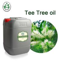 China Cas 68647 73 4 Pure Natural Organic Tea Tree Oil Bulk Diffuser For Massage/ skin care for sale