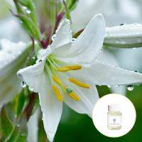 China Aroma Diffuser Use Natural Essential Oils Lily Essential Oil for sale