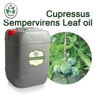 China Cosmetic Grade Cupressus Sempervirens Essential Oil Natural for sale