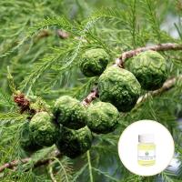 China Cosmetic Grade Cupressus Sempervirens Essential Oil Natural for sale