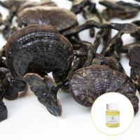 China Skin Care Natural Essential Oils Black Ganoderma Lucidum Oil Cas 8000-26-8 for sale