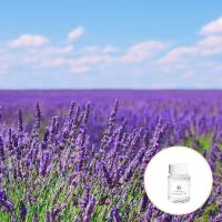 China OEM Organic Lavender Essential Oil for sale