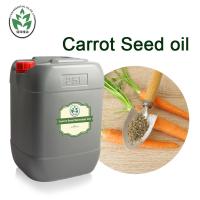 China 100% Pure Organic Essential Oils Carrot Seed Essential Oil Skin Lightening for sale