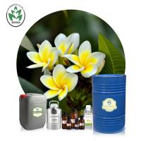 China Egg Flower Organic Frangipani Essential Oil For Body Massage for sale