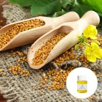 China CAS 8007 40 7 Organic Mustard Seed Essential Oil Cosmetic Grade for sale