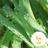 China Cas 8007 02 1 Wholesale price Pure natural Organic Lemon Grass oil For Aromatherapy for sale