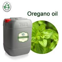 China Cas 8007 11 2 Wild Oregano oil organic 100% pure natural bulk With High Concentrate Carvacrol for sale
