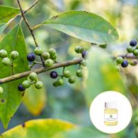China 67%Min Purity Food Grade Litsea Cubeba Essential Oil As Food Additive for sale