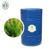 China Amber Flavor Colorless Organic Cypress Essential Oil For Skin for sale