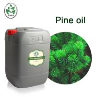 China CAS 8002-9-3 ISO Certificate Pine Needle Essential Oils For Aroma Diffusers for sale
