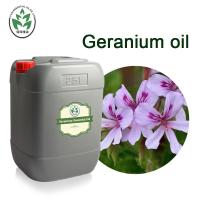 China CAS 8000-46-2 100% Pure Rose Geranium Essential Oil Body SPA Use for sale