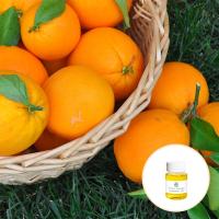 China Cas 8008 57 9 Wholesale Price Aromatherapy Peeling Sweet Orange Essential Oil for sale