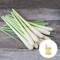China Antibacterial Natural Essential Oils Citronella Essential Oil Mind Refreshing Skin Softening for sale
