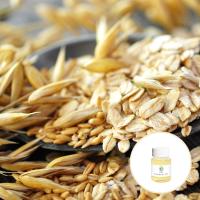 China Massage Use Aromatherapy Oat Essential Oil Avena Sativa Oil for sale