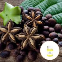China Cold Press Anti Aging Organic Sacha Inchi Oil For Skin Metabolism for sale