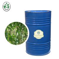 China Globulus Aromatherapy Essential Oils for sale