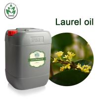 China CAS 8006-78-8 Aromatherapy Essential Oils Laurel Leaf Essential Oil for sale